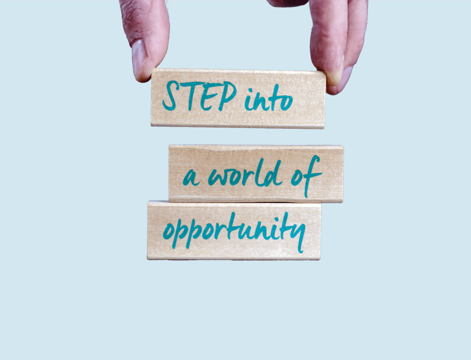Employment | STEPS